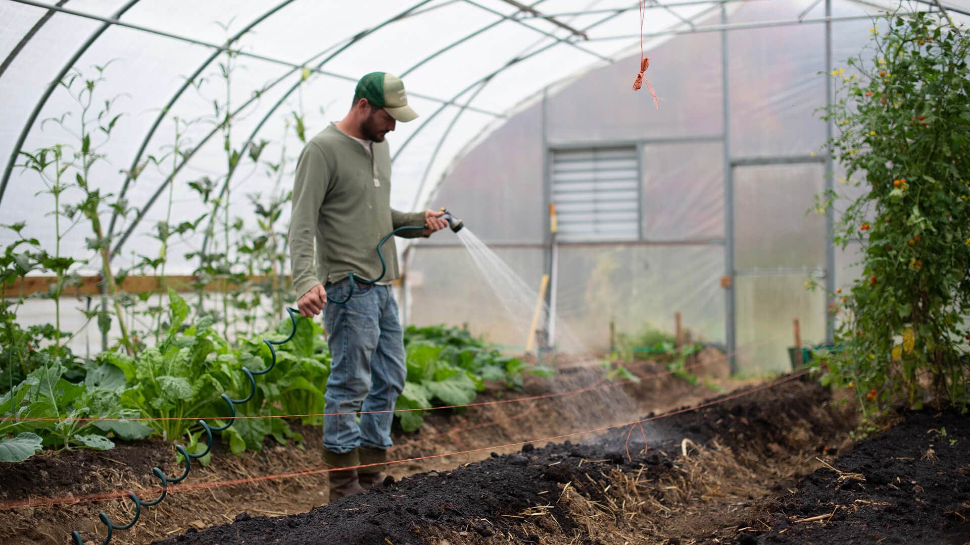 Home - Apical Crop Science
