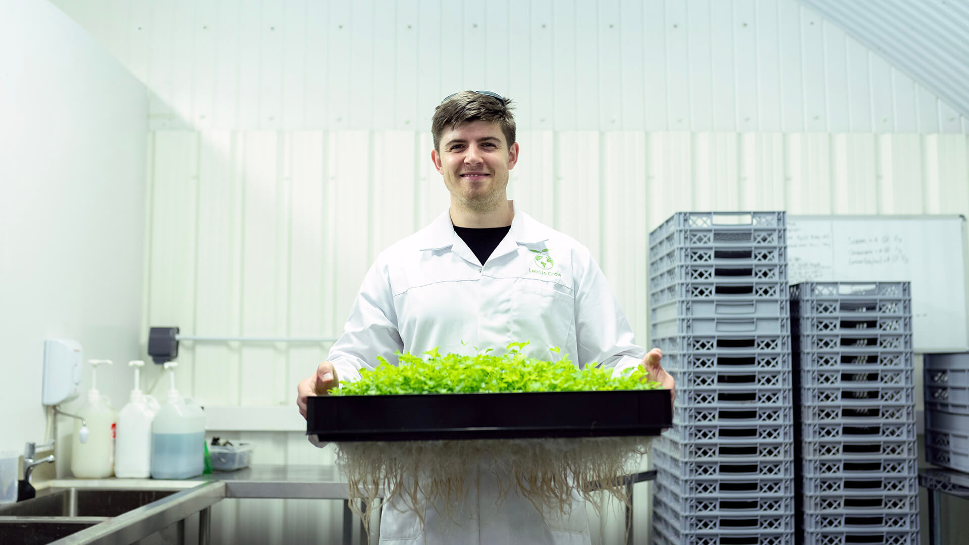 Home - Apical Crop Science